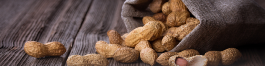 About – Georgia Peanut Gallery